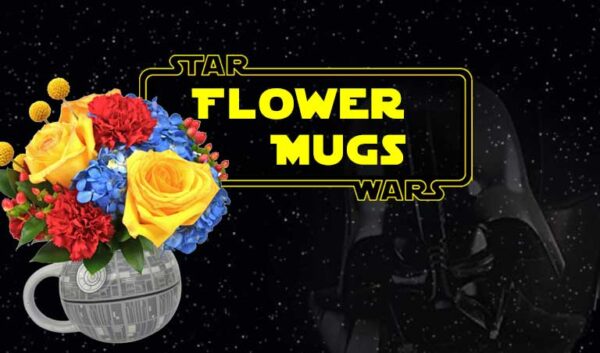 Disney Flowers & Gifts, Star Wars Flowers, m&m Flowers - FUN