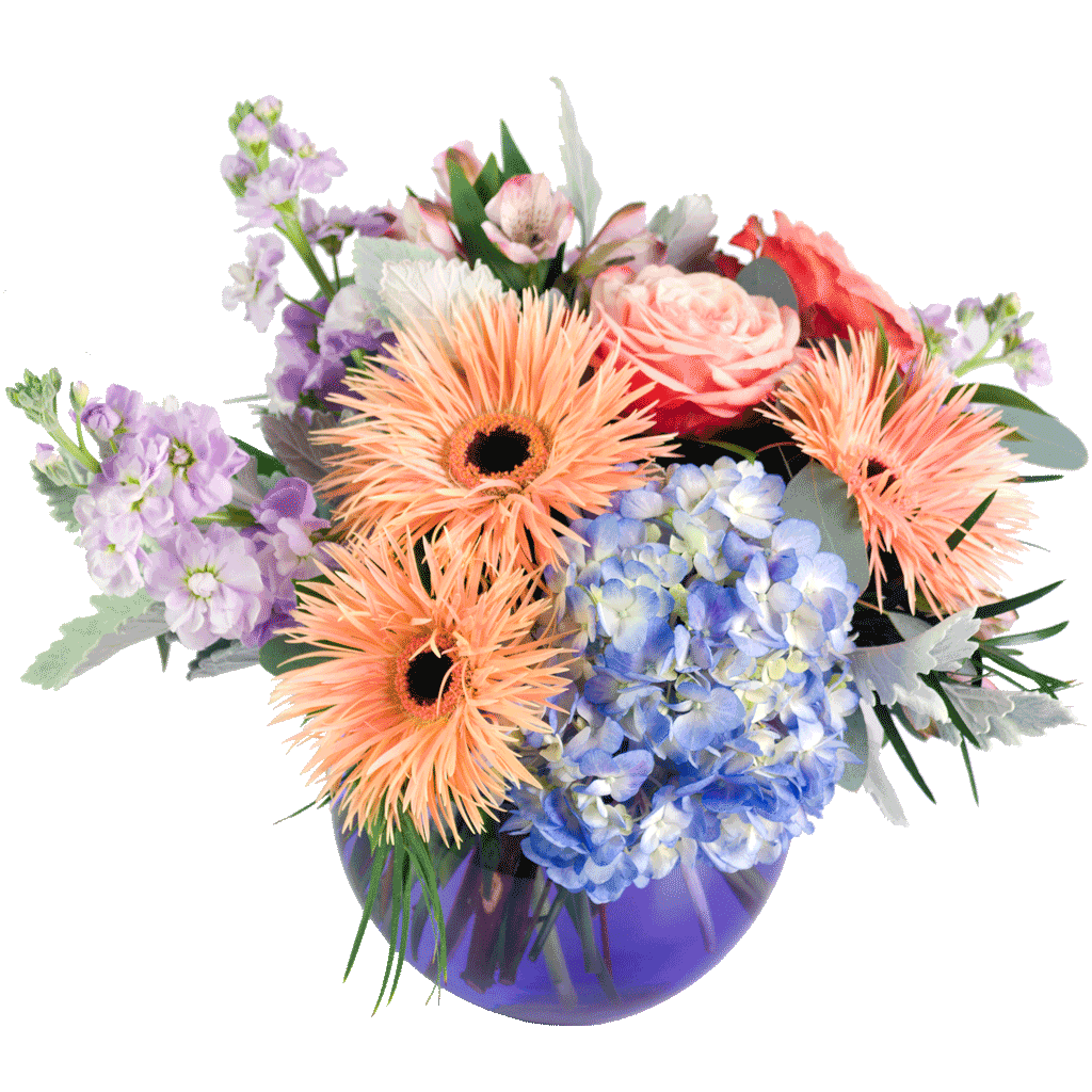 Summer Flowers | Voted America's Best Florist | Karin's Florist ...