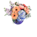 Summer Flowers | Voted America's Best Florist | Karin's Florist ...